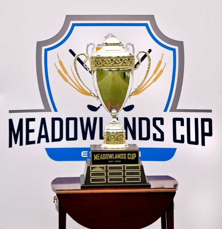 Exploring the Prestigious Meadowlands Cup Award - Meadowlands Cup